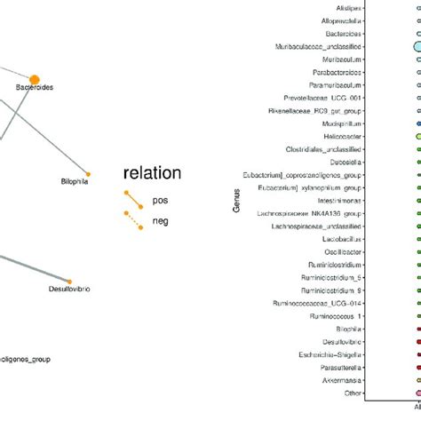 A Correlation Network Diagram Different Nodes In The Network Diagram