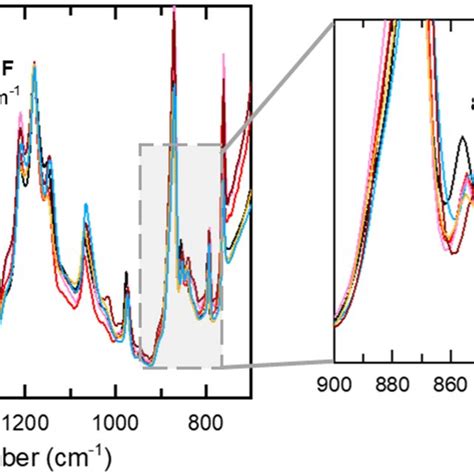 Normalized Ftir Spectra Of The Weathering Exposed Surface Of The