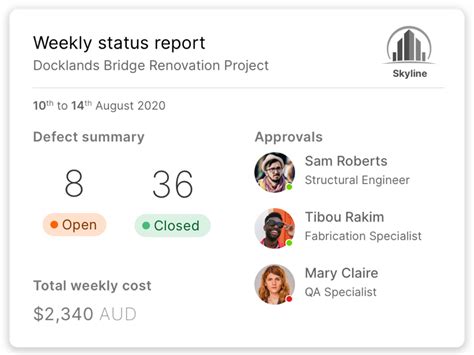 Defect Report By Jithesh Ramesh On Dribbble