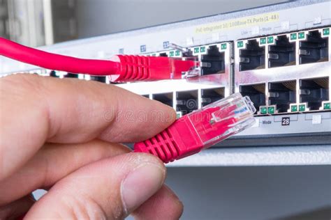 Hand With Red Ethernet Cable Stock Image Image Of Socket Administrator 202773473