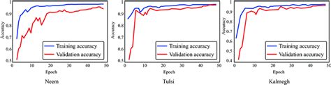 the accuracy values with training and validation datasets for maturity