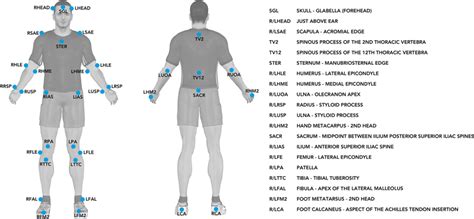 Retro Reflective Markers N 35 Placed On Anatomical Landmarks Of