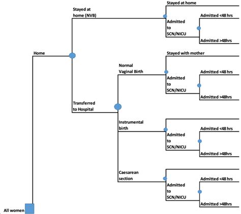 Decision Tree Framework Download Scientific Diagram