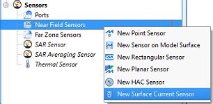 Surface Current Sensor XFdtd Remcom Support