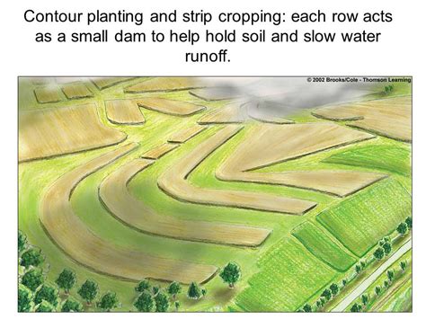 Strip Cropping Diagram