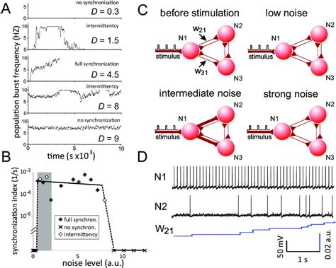 Stochastic Resonance In Neural Networks Driven By Periodic Stimulus A