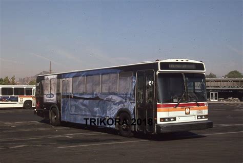 Lacmta Los Angeles Mta 4x6 Photos 10 Bus Prints Neoplan La Metro Rtd Scrtd 1929407169