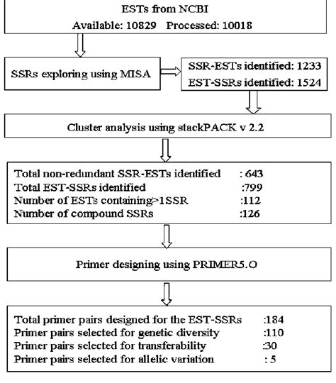 Scheme Used For Data Exploring And Development Of Est Ssrs Markers From Download Scientific