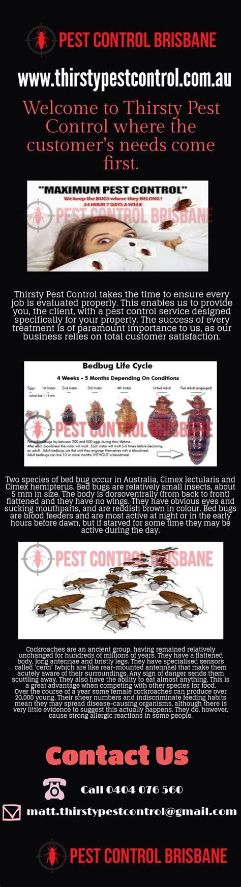 How To Do Pest Control At Home Pest Control In Brisbane