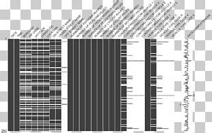Matplotlib PNG Images Matplotlib Clipart Free Download