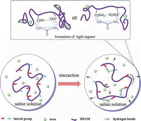 Schematic For The Short Range And Long Range Interactions Download Scientific Diagram