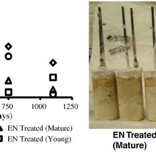 A Chloride Diffusion Coefficient Obtained Using Electrochemical Download Scientific Diagram
