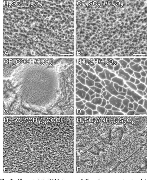 Figure 2 From Nanoscale Surface Modifications Of Medically Relevant Metals State Of The Art And