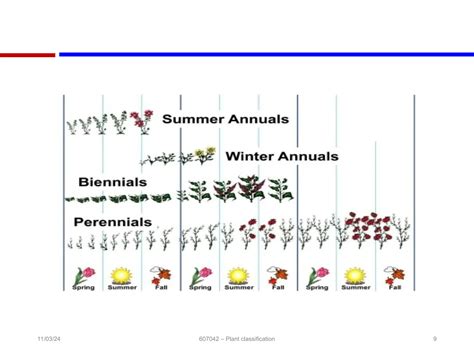 2 Plant Classification Of Plant Technology Ppt