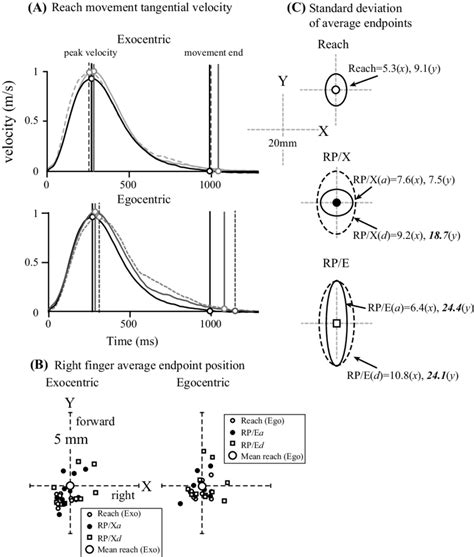 Arm Movement Tangential Velocity Profiles And Endpoint Accuracy A Download Scientific Diagram