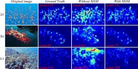 Comparison Of Whether The Network Contains Multi Scale Attention