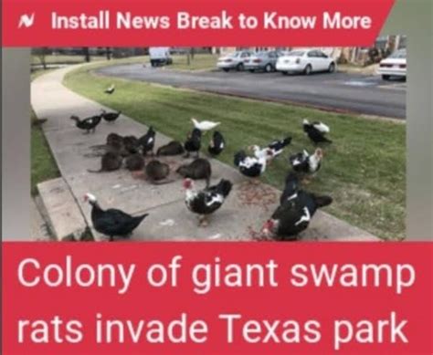 Im Scared R Cursedads