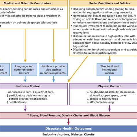Conceptual Framework Model For Disparities In Endocrine Disorders Download Scientific Diagram