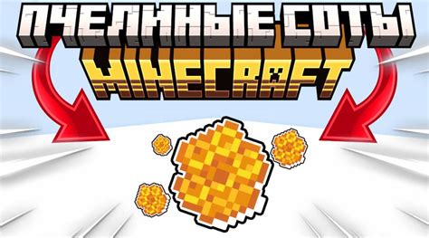 Как добыть пчелиные соты в Minecraft