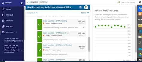 do sam cengage ms office projects word excel assignments by steve