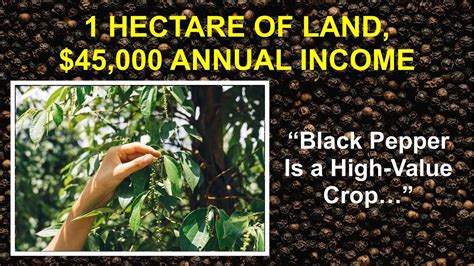 Maghintay Ka Lamang Lyrics By Ted Ito