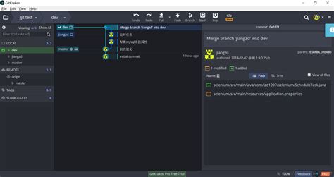 Windows环境使用git（使用gitkraken）git Token的文件是哪个 Win Csdn博客