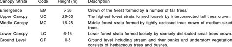 Classification Of Tree Height According To Forest Canopy Strata Download Table