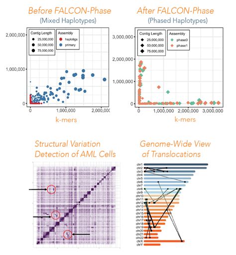 Proximo Phase Genomics