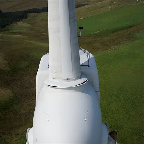 Object Detection Dataset By WT