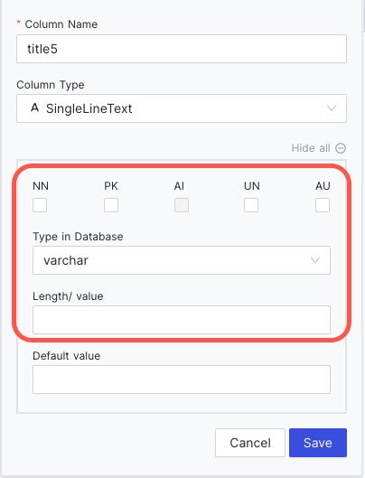 🐛 bug advanced column options are not displayed · issue 5245 · nocodb
