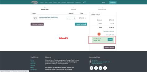 Loyalty Program Two Issue · Issue 106296 · Odooodoo · Github