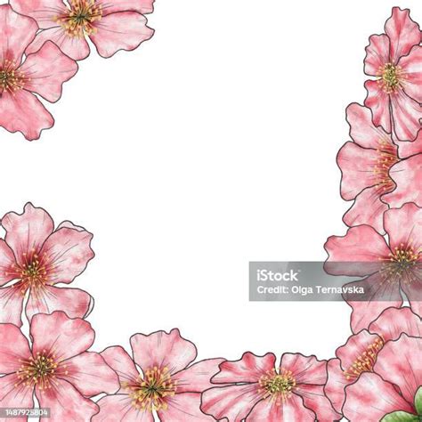 벚꽃 초대장 카드 수채화 핑크 벚꽃이 있는 배너 빈 템플릿입니다 손 그리기 꽃이 있는 정사각형 프레임입니다 0명에 대한 스톡