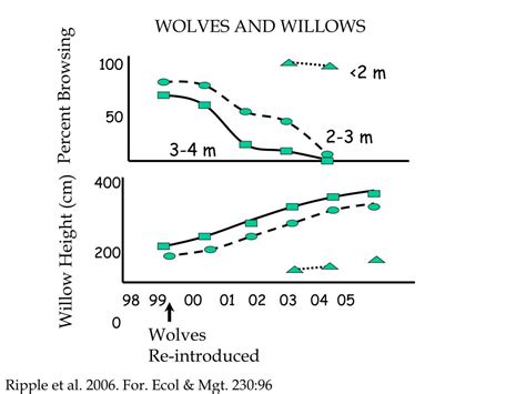 Ppt Resource And Predation Controls On Ecosystem Production Powerpoint Presentation Id2058886