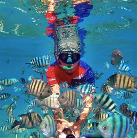 Pulau Perhentian Snorkeling
