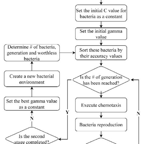The Flowchart Of The Developed Hybsvm Algorithm Download Scientific Diagram