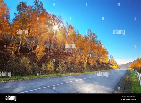 Image Processed For High Dynamic Range Color Hdri Technique Stock