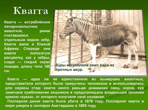 Животные Красной книги презентация онлайн