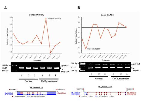 Consistency Among Results Of Exon Array RT PCR And Isoform Evidence Download Scientific