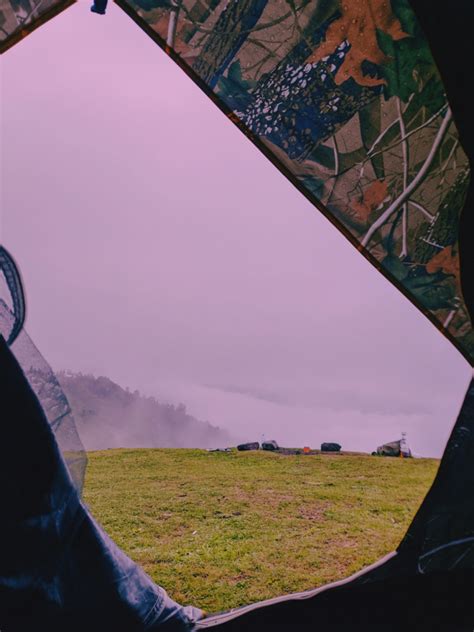 გომისმთა საუკეთესო პერიოდში