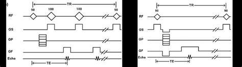 Spin Echo And Gradient Echo Sequences Used In The Experiments Download Scientific Diagram