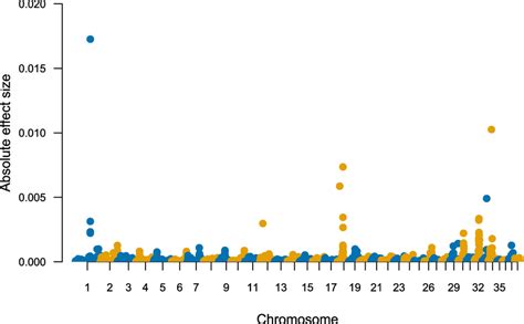 A Manhattan Plot Of The Absolute Snp Effect Estimated In Bayesr Over