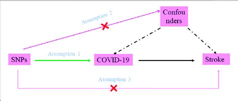 Diagram Of Two Sample Mendelian Randomization Analysis Assumption 1