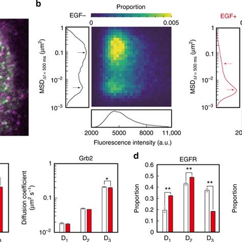 Automated Single Molecule Imaging System A Schematic Diagram Of The Download Scientific