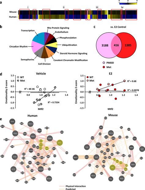 Comparative Rna Sequencing Of Mouse Vhpc And Human Lcls A Heat Map Download Scientific Diagram
