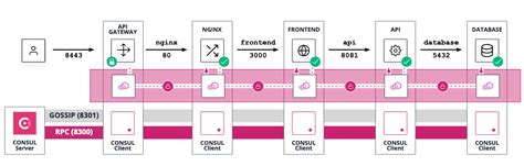 access services in your service mesh consul hashicorp developer
