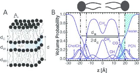 Description Of Membrane Structure In Terms Of The Sdp Model Panel A Download Scientific