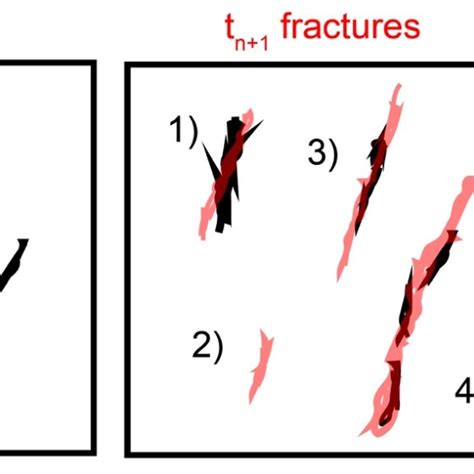 Modes Of Fracture Network Development Captured By Algorithm By