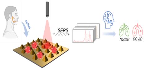 Label Free Sars Cov 2 Detection Platform Based On Surface Enhanced Raman Spectroscopy With