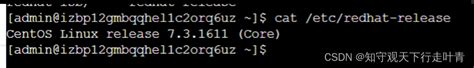 阿里云轻量级服务器安装docker 阿里云服务器安装docker csdn博客