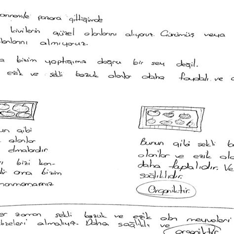 Shape Coding Singular Subject With Singular Verb Download Scientific Diagram